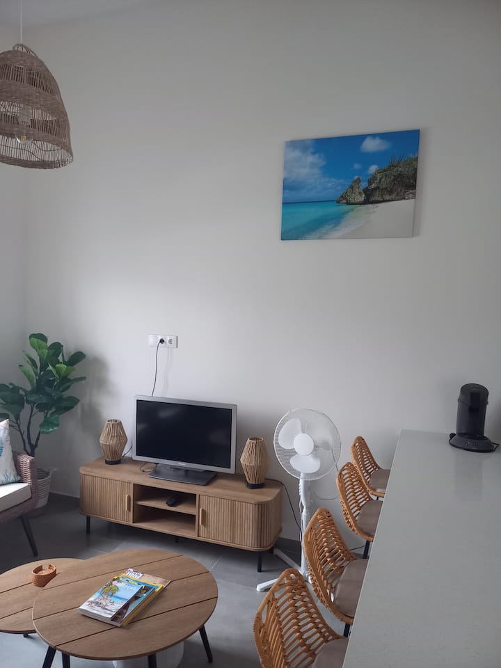 Nieuw Vakantiehuis Met Zwembad Nabij Mambo Beach - Curaçao