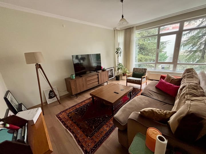 Cozy Central Flat | Walk To Tunalı & Embassies - Ankara