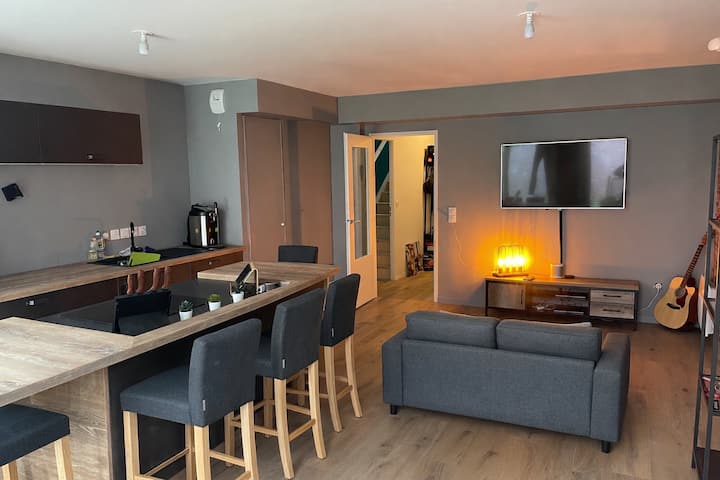 T3 Duplex - Jardin - Lille - Quartier Wazemmes - Lille
