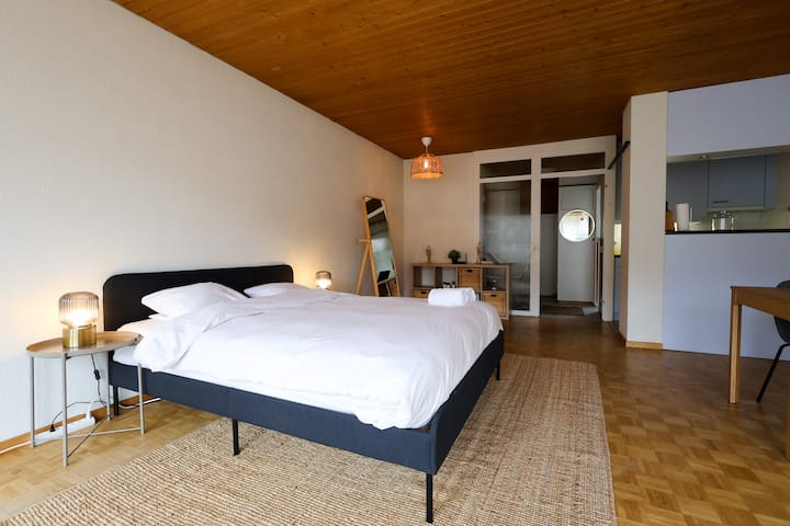 Bright Studio With Balcony In Bern - Bern