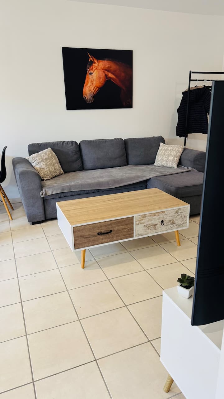 T2 Avec Terrasse, Piscine Et Garage – Proche Lyon - Rhône