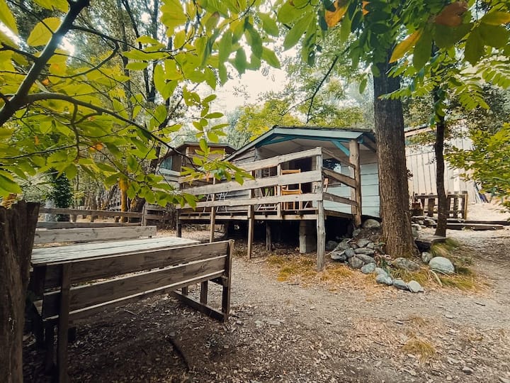 Chalet - 4 Personnes - Bouleau - Mont Aigoual