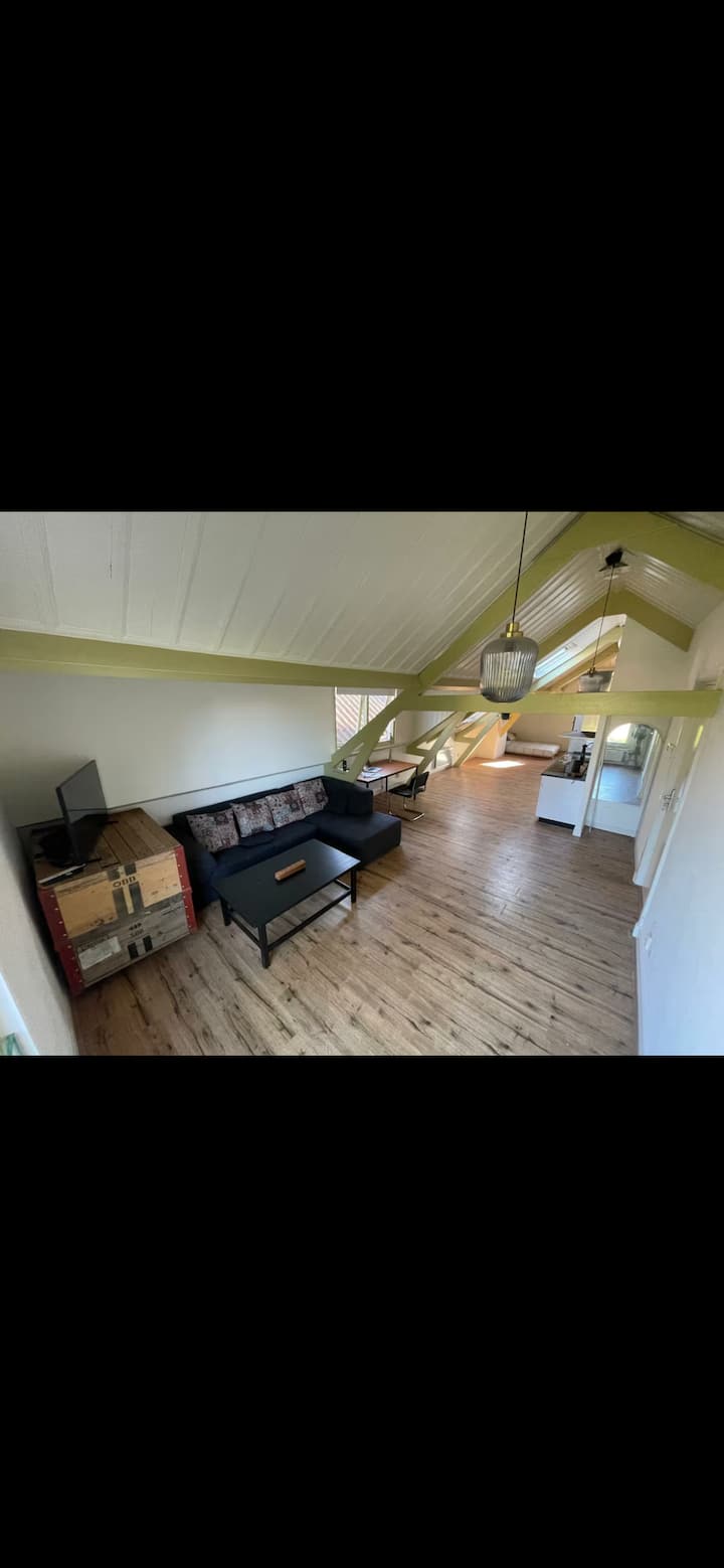 Rotterdam Relaxed - Rotterdam