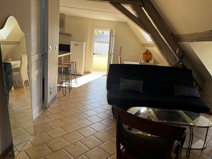 Gîte Nature Avec Vue Chevaux Et Forêt - Vierzon