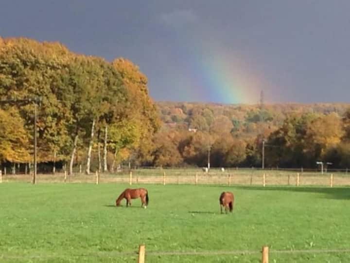 Gîte Nature Avec Vue Chevaux Et Forêt - Vierzon
