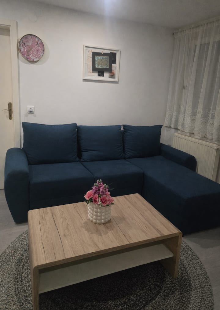 Oddamo Stanovanje Na Dan. - Liubliana