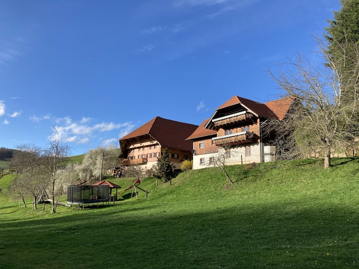 Ferienwohnung Schwörerhof - Haslach im Kinzigtal