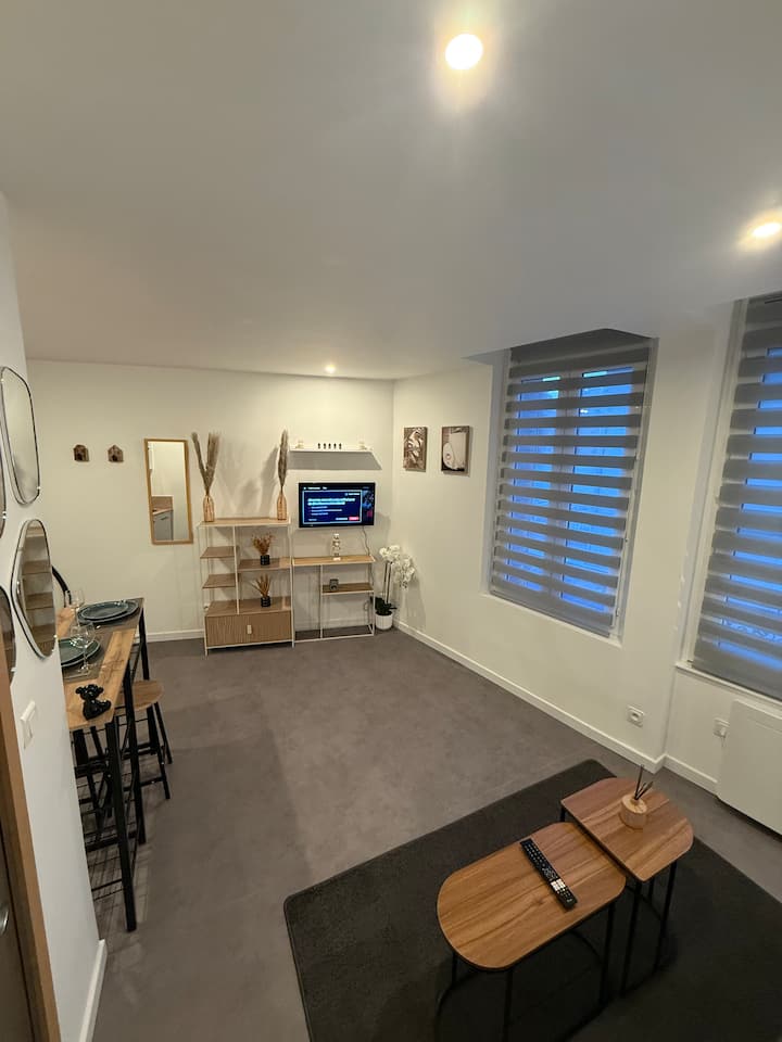 Studio Lumineux / Auxerre Centre - Auxerre