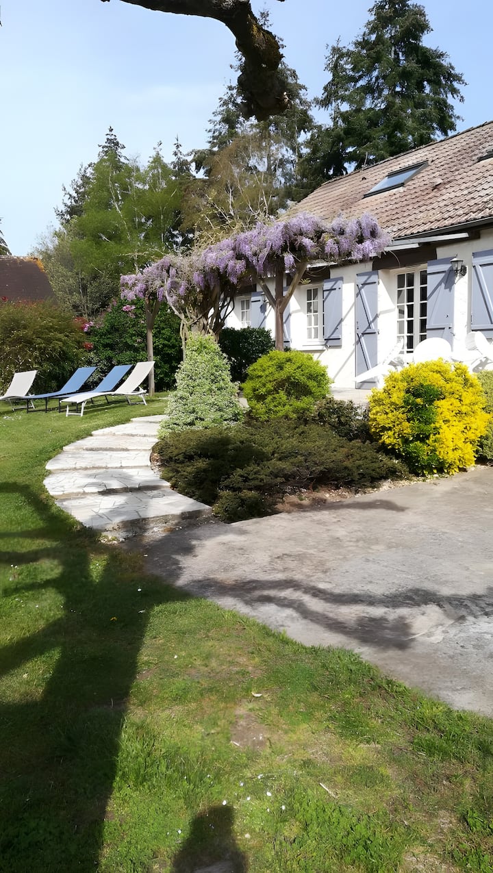 Gîte Les Glycines - Contres