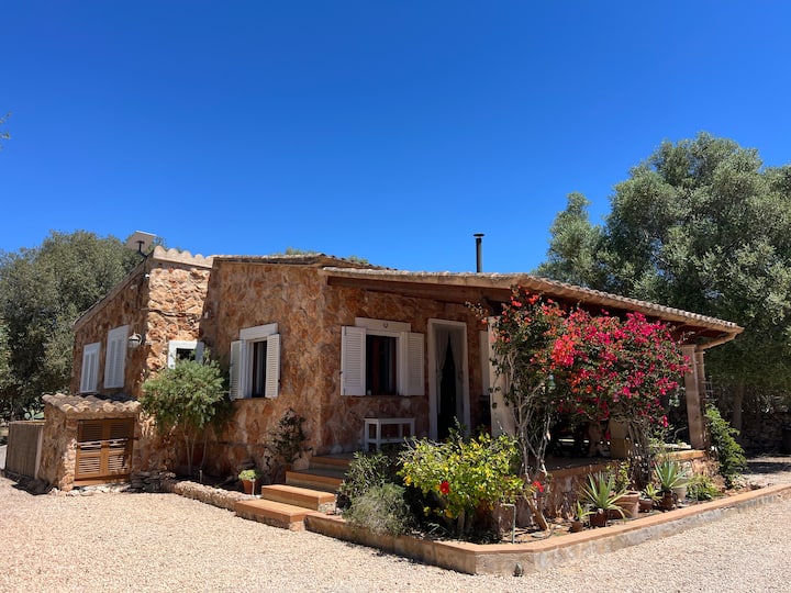 Finca S'olivera - Cala Santanyí