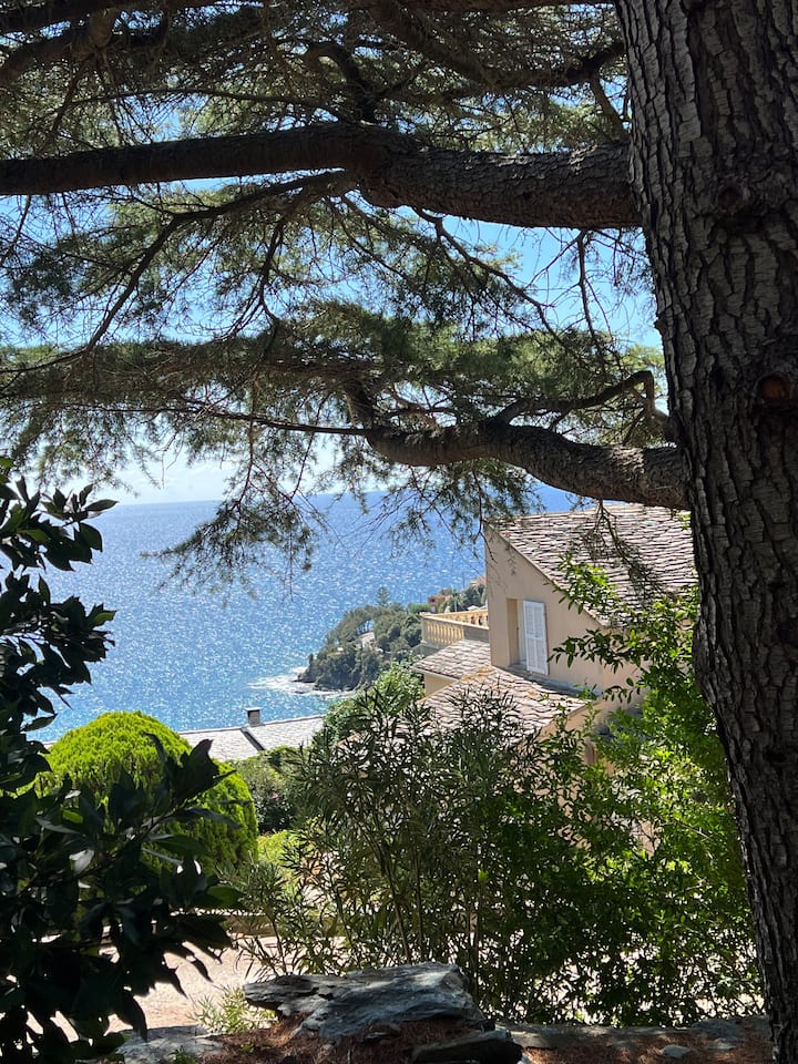Cap Corse Bord De Mer - Vue Panoramique - Brando