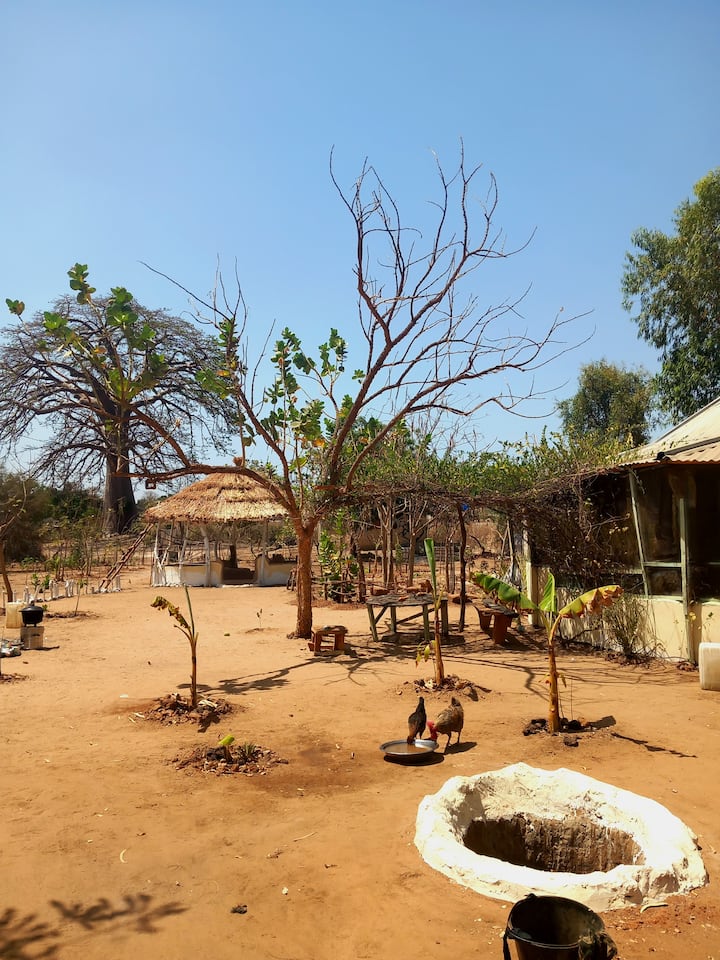 Sukoto Paradise Nature Lodge - The Gambia