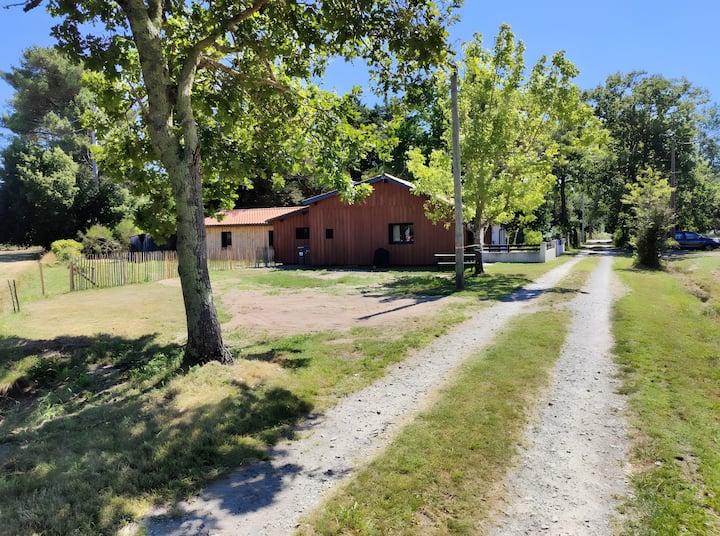 Gite Rural Bergerie Couyrasseau - Carcans
