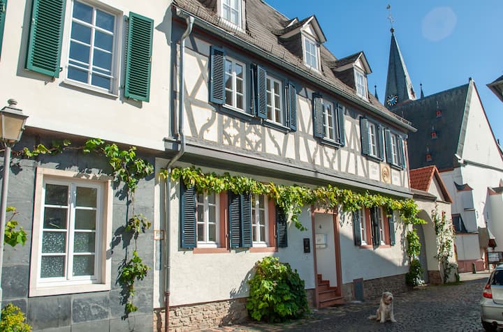 Eine Wohnung Zum Verlieben Und Wohlfühlen Am Rhein - Oestrich-Winkel