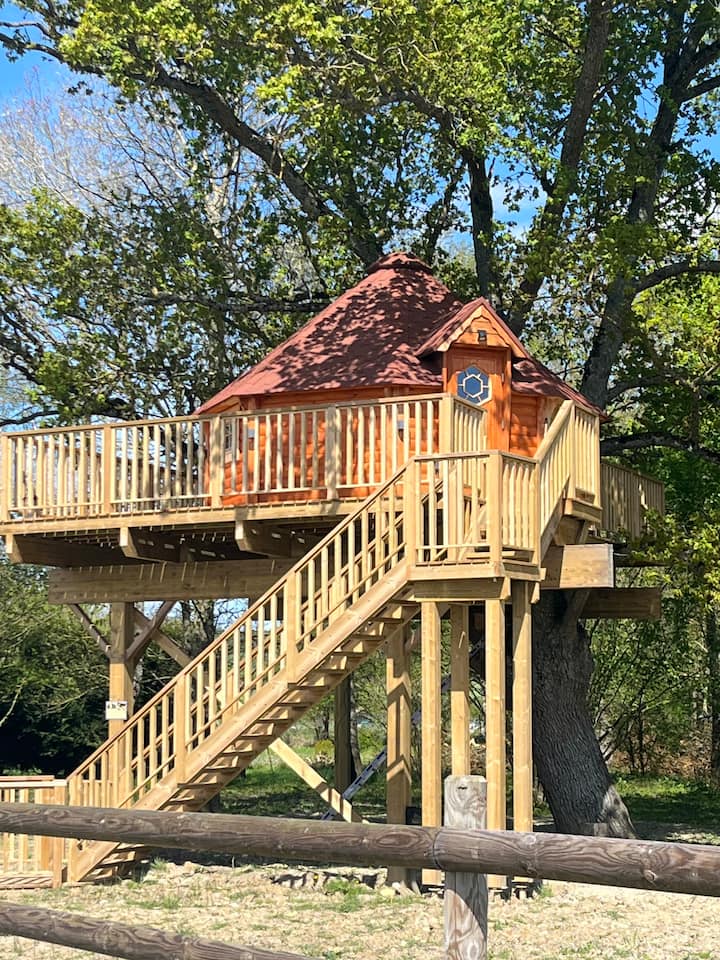 Cabane Dans Les Arbres - Sarthe
