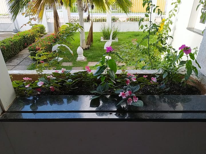 Casa Da Tia - Piranhas