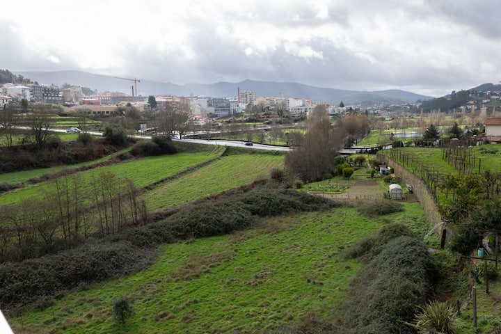 Apartamento Em Vale De Cambra - Cesar