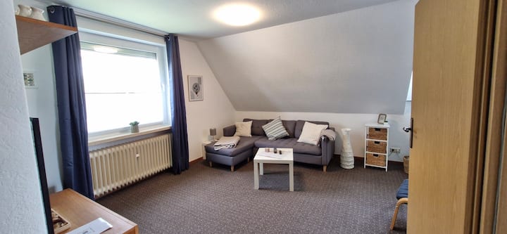 Gemütliche Ferienwohnung An Der Alten Brauerei - Holzminden
