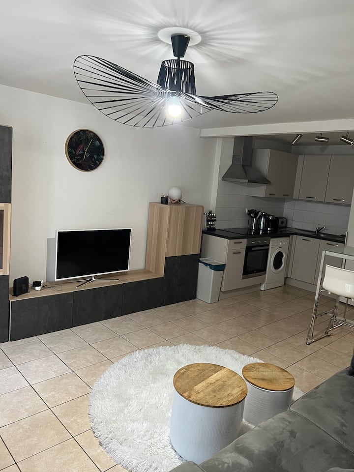 Appartement T2 45m Situé En Centre-ville - Nantua