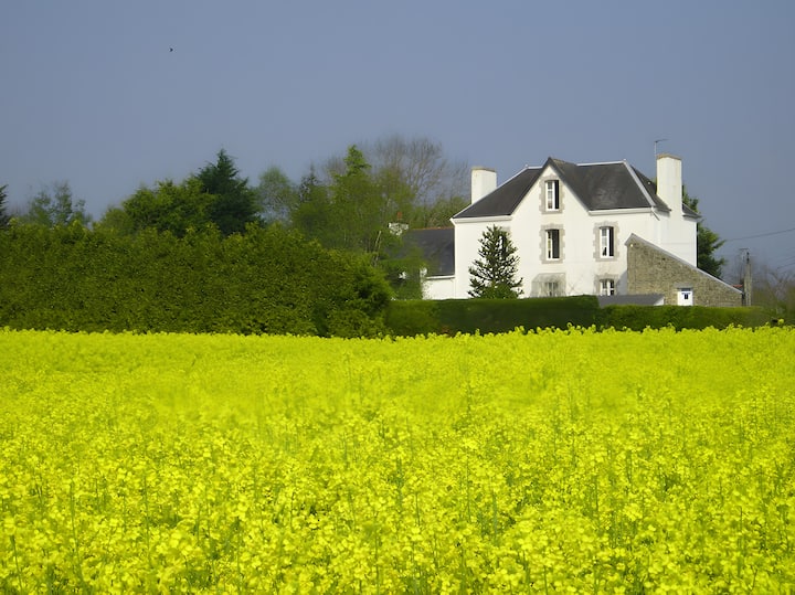 Chambre Verte - Moëlan-sur-Mer