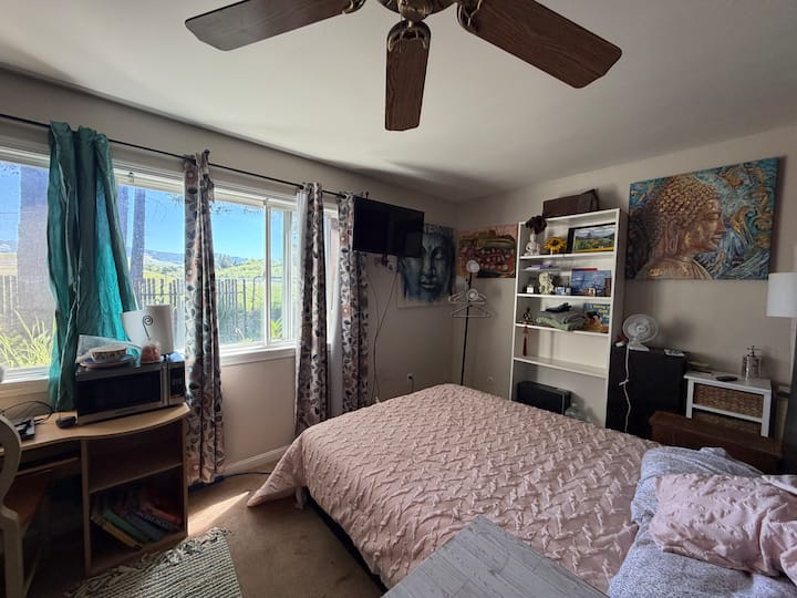 Mountain View Ssu Green Music For 1 To 3 People - Rohnert Park, CA