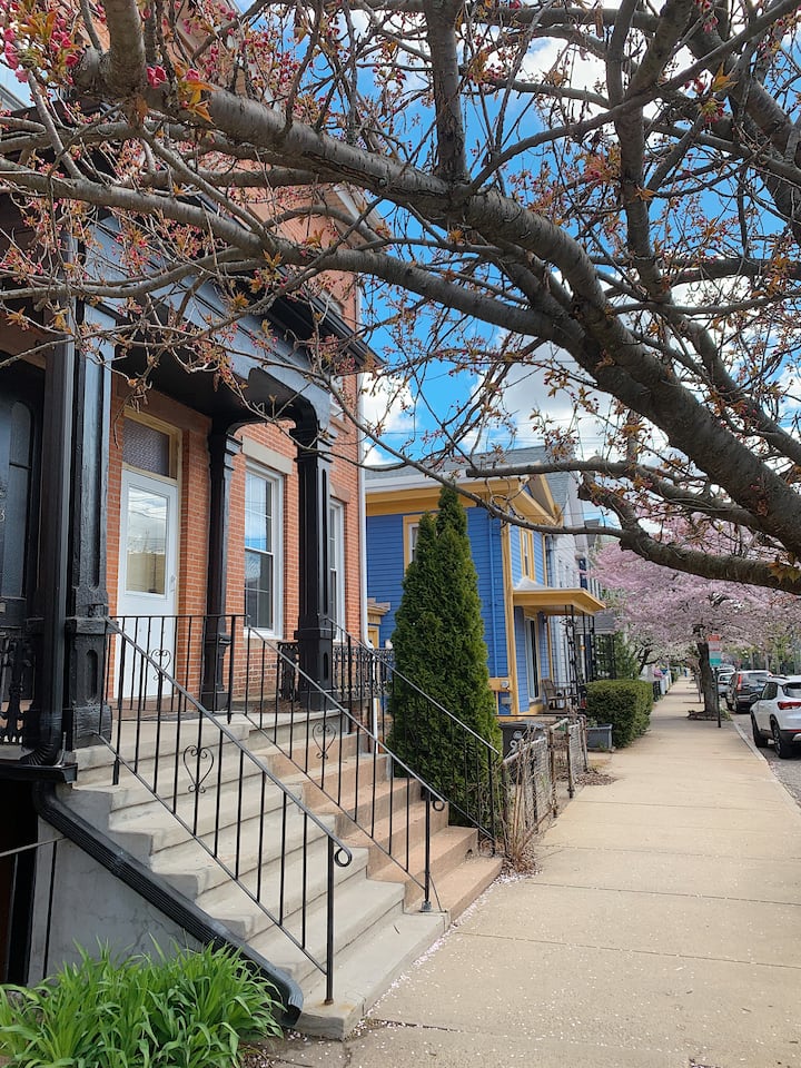 Spacious 3b Apartment Walking Distance From Yale - Lake Saltonstall, CT