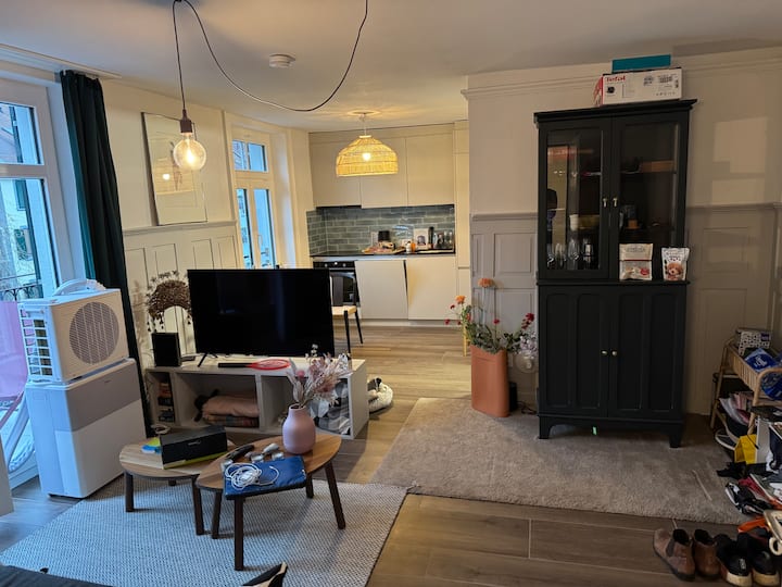Cozy Apartment In Zurich – Newly Renovated 2025 - Zürich