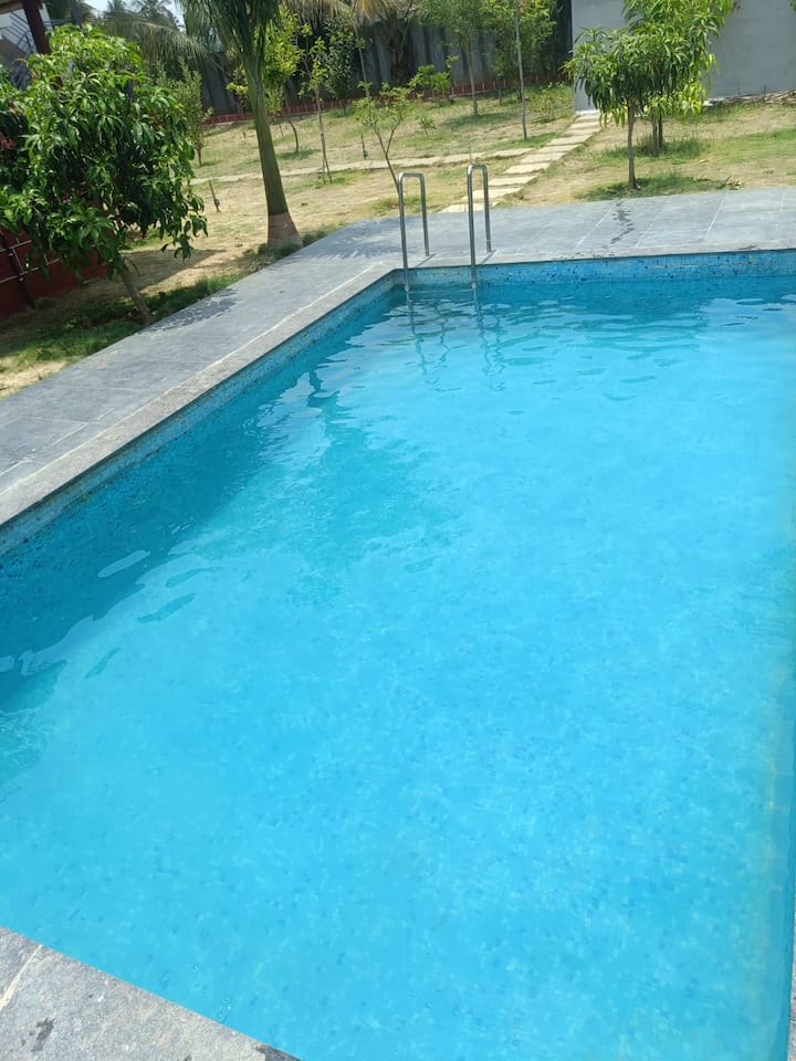 Avi Farm - Nandi Hills