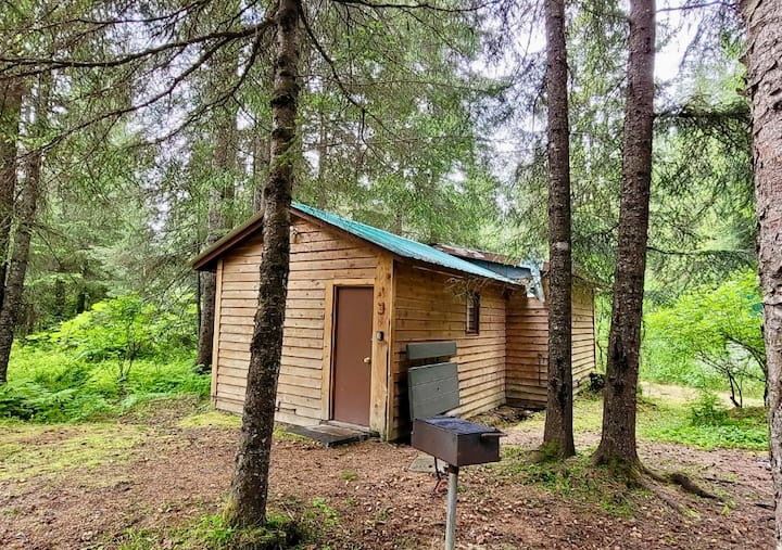 Northern Lights Cabin - Seward, AK