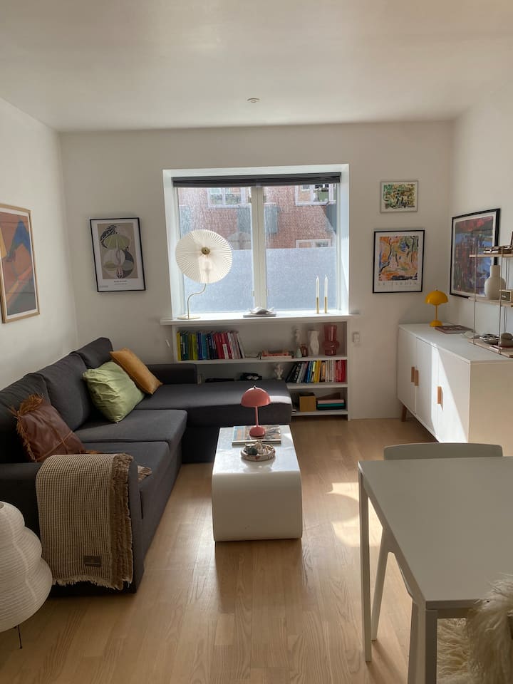 1 Bedroom Apartment In Amager - Copenaghen