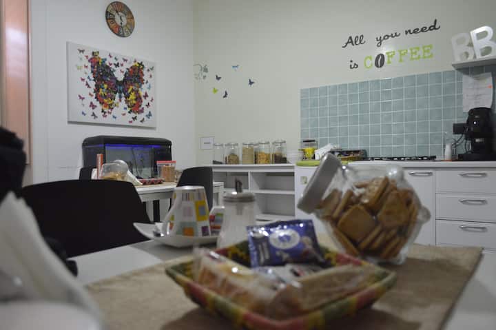 B&b Angoletto Young
Royal - Avellino