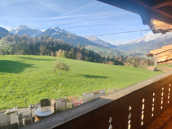 Reichenbach 20minuten Nach Interlaken - Spiez