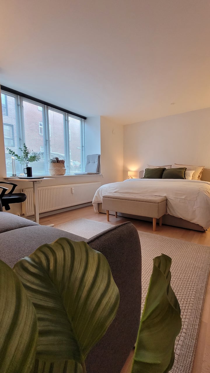 Scandinavian Studio W/ Workspace – Aarhus N - Aarhus