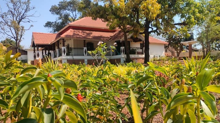 Green Cozy 3bhk Farmhouse | Private Pool & Wifi - Goa