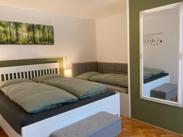 Sonnige, Gemütliche Wohnung Im Almtal - Gmunden