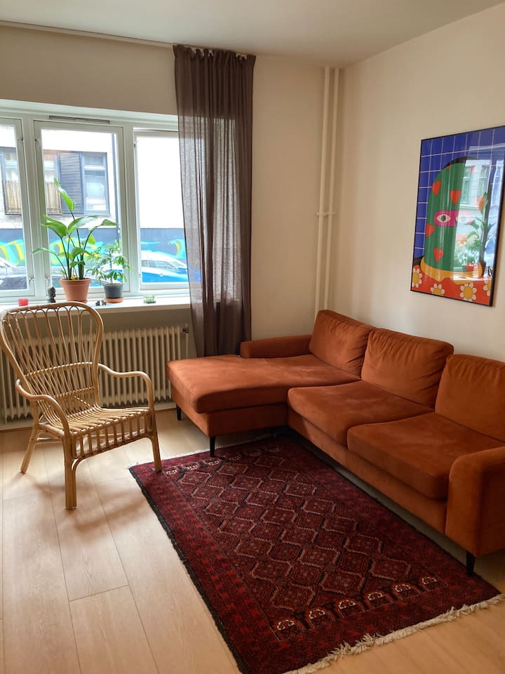 Koselig Leilighet Sentralt På Torshov - Oslo