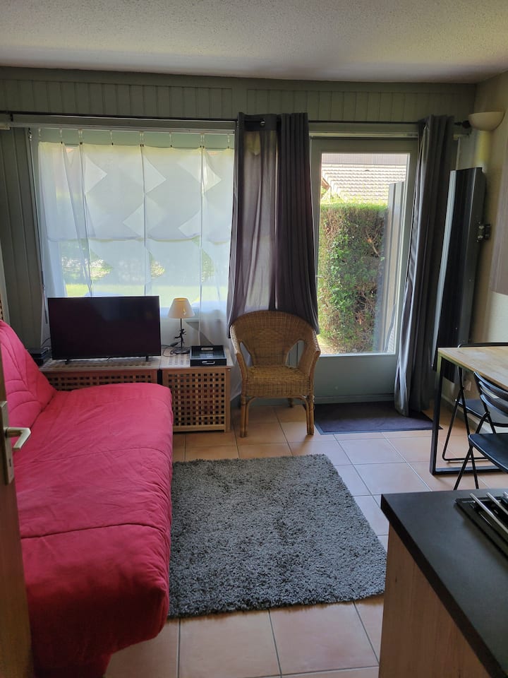 Joli Studio En Rez De Jardin - Samoëns