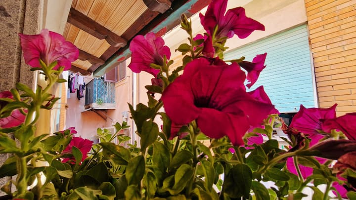 Casa Dell'arco Centro Storico - Civitavecchia