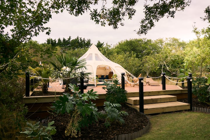 Yellow Egg - Evesham