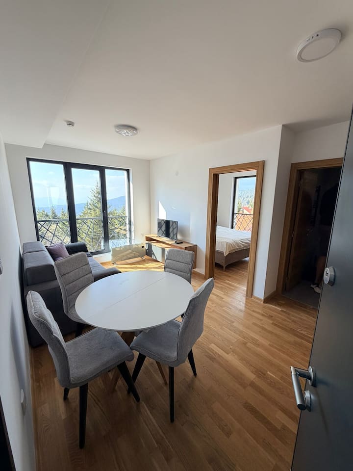 New, Bright 1br Apt, Sleep 4, Great View, Ski Room - Kopaonik