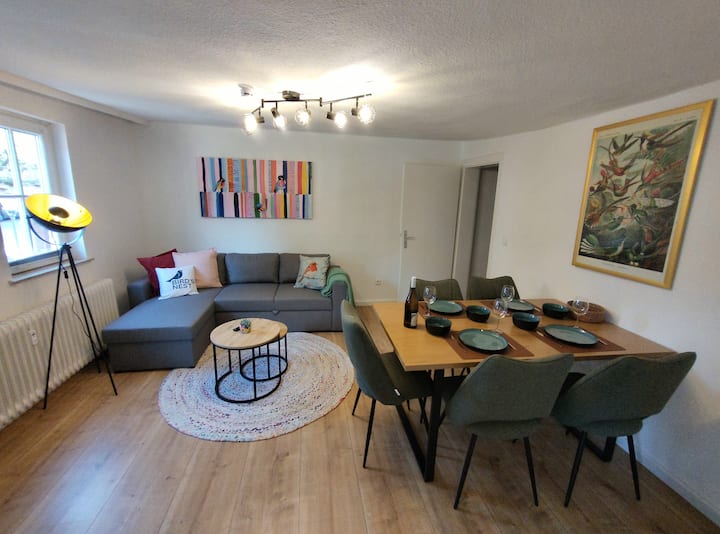 Birds-nest: ① Ferienhaus Fachwerk Altstadt - Wissembourg