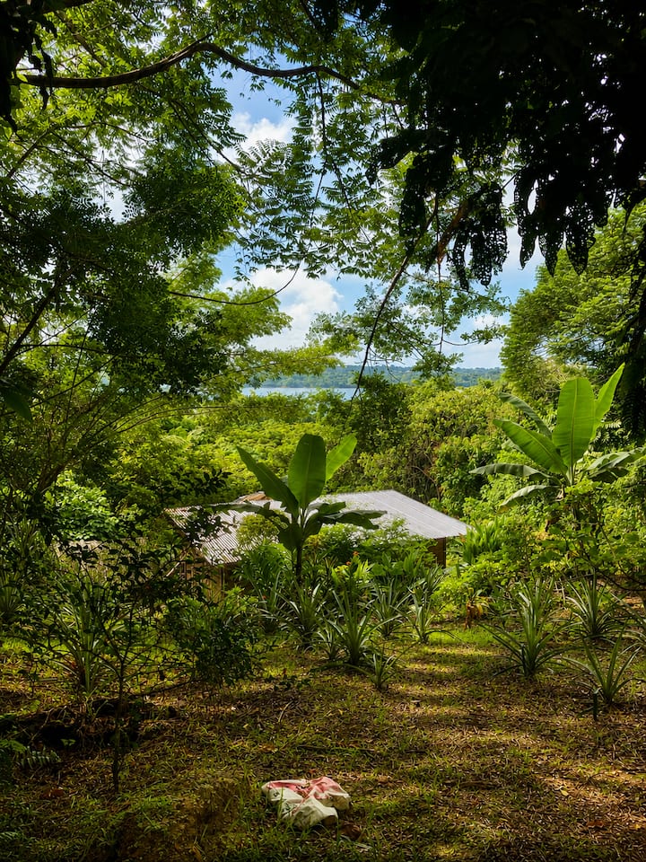 Beach Treehouse | Ocean Views |2m Walk To Beach - Vanuatu