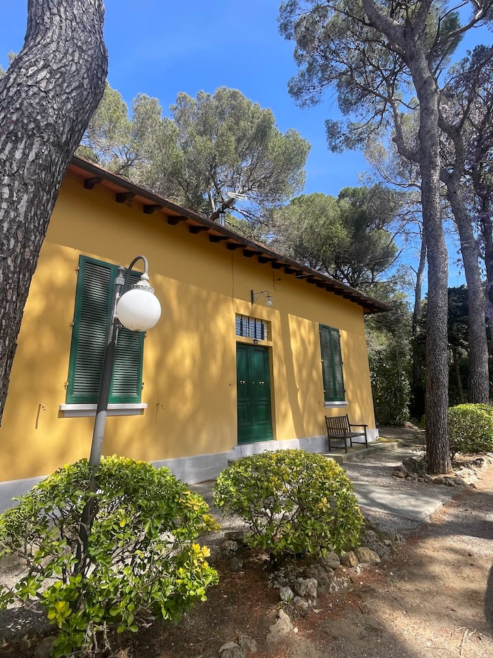 Perla Verde Sul Mare, Relax A Castiglioncello! - Italien