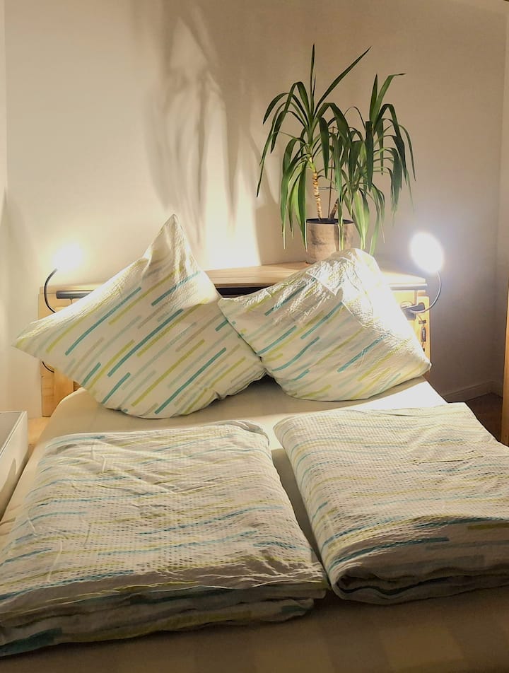 Stilvolle Wohnung Im Herzen Bayreuths - Bayreuth