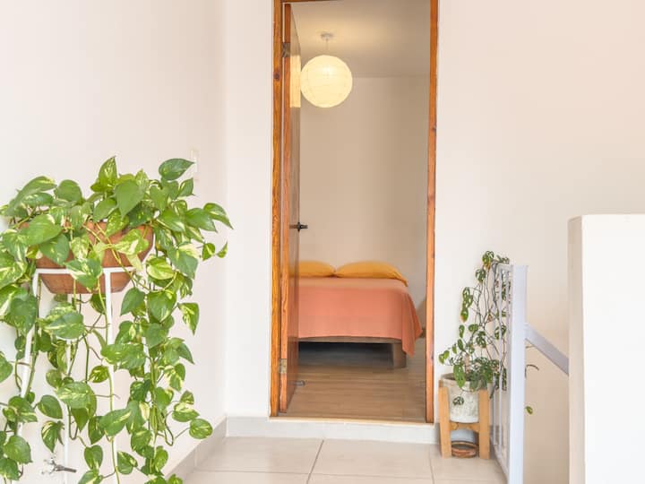 Casa En San Pedro Cerca De Udem - San Pedro Garza García