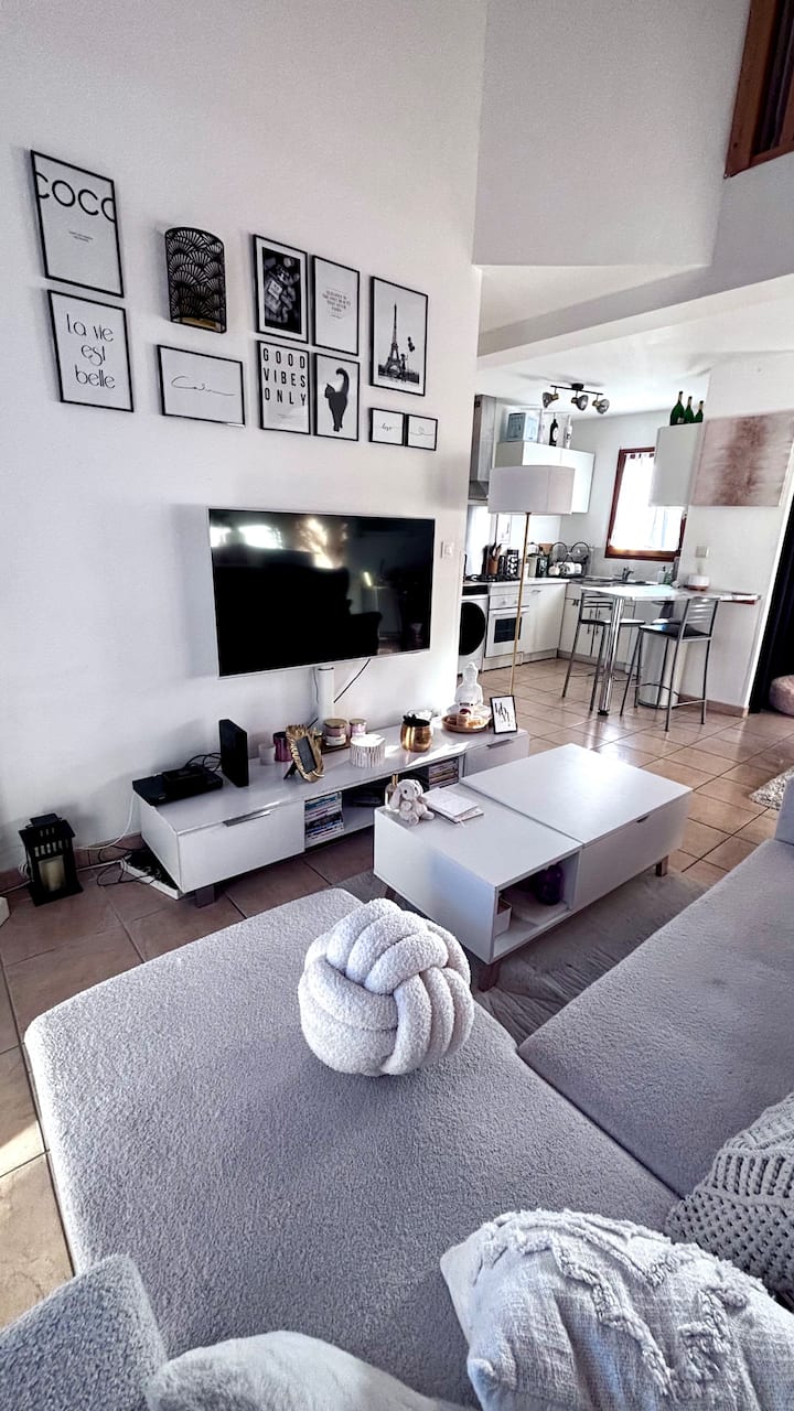 Appartement Duplex Avec Terrasse - Solaize