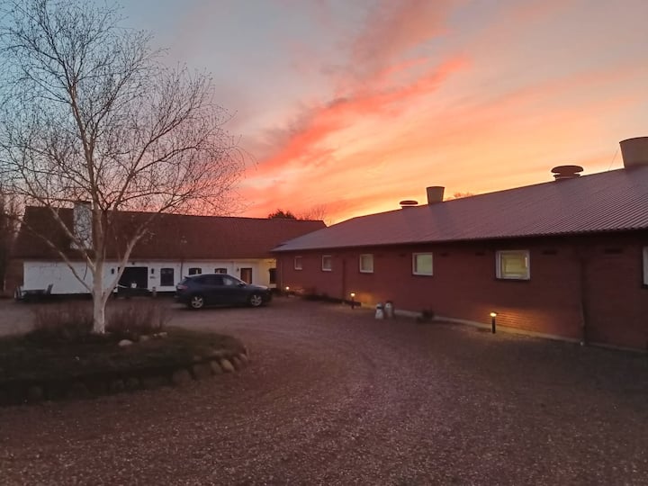 Elmegaarden Guesthouse - Ribe