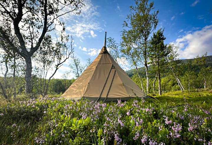 Storeng Lavvocamp - Saltdal