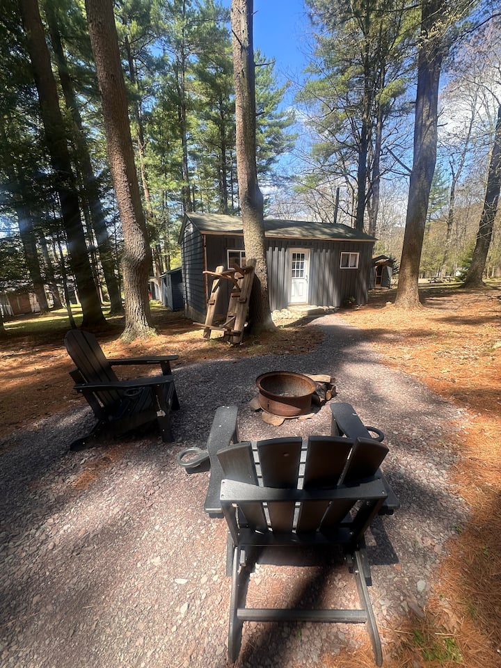 The Blue Spruce At Red Rock Mountain Campground - Ricketts Glen State Park, Benton