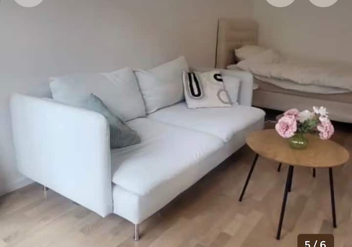 1rok Nära Stadsparken - Eskilstuna